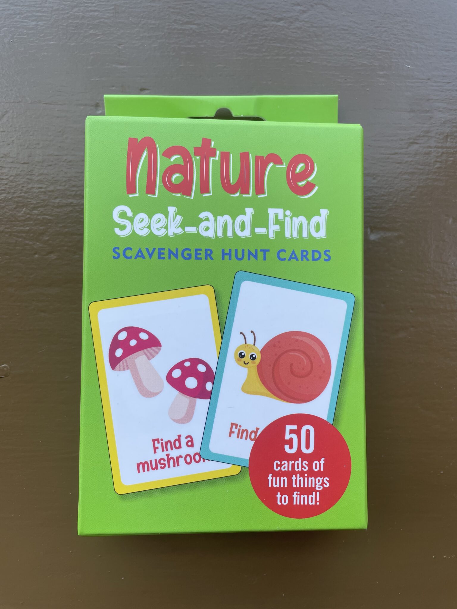 Seek & Find Scavenger Hunt Cards | The Archaeological Research Institute